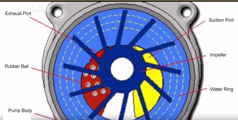 Roots vacuum pump and a liquid ring vacuum pump - Teamup